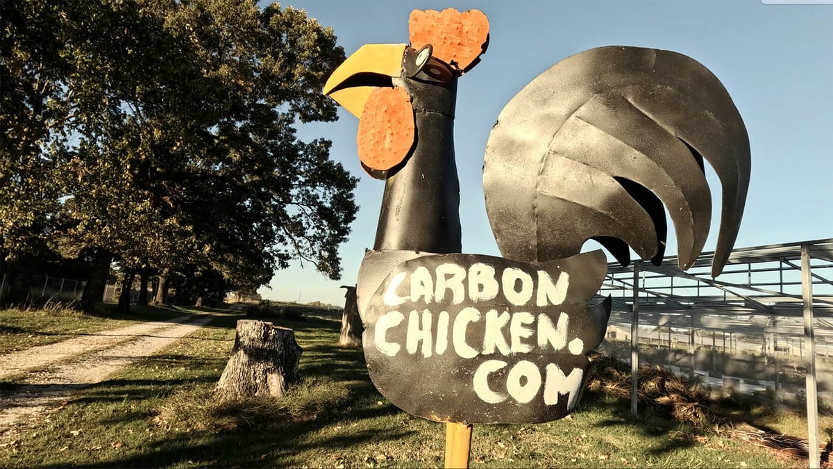 The Carbon Chicken Project Revolutionizing Agriculture: Carbon Farming ...