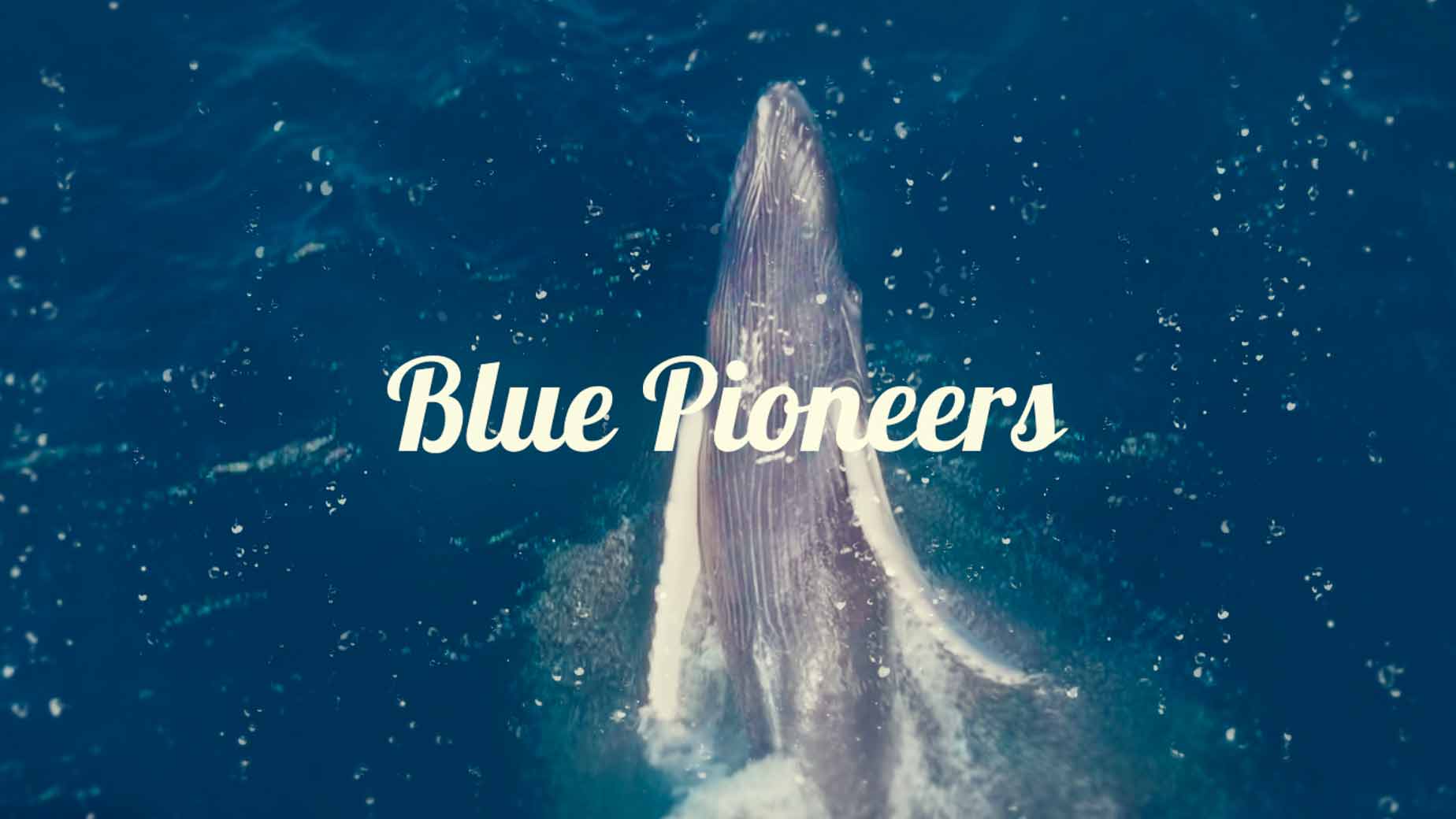 Blue Pioneers - Better Worlds