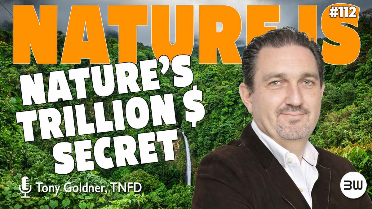 Nature on the Balance Sheet