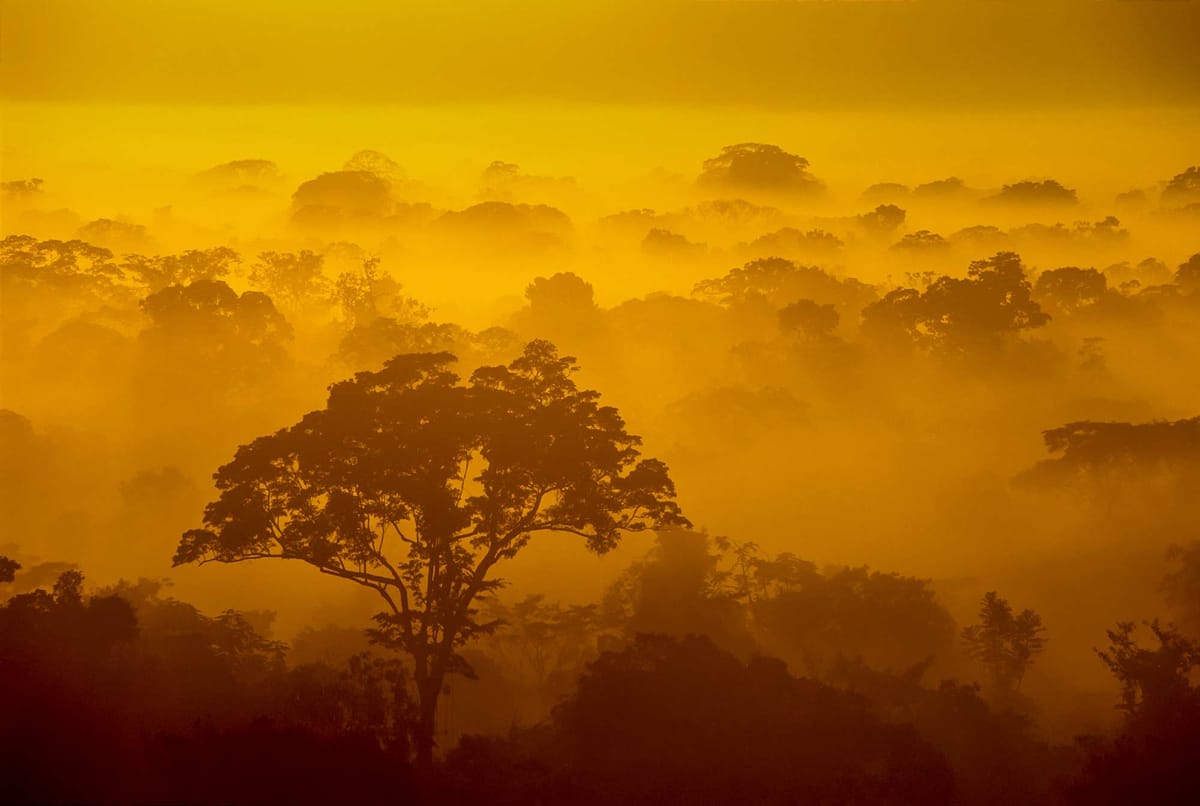 Amazon Basin at the Brink: A Climate Tipping Point in Sight